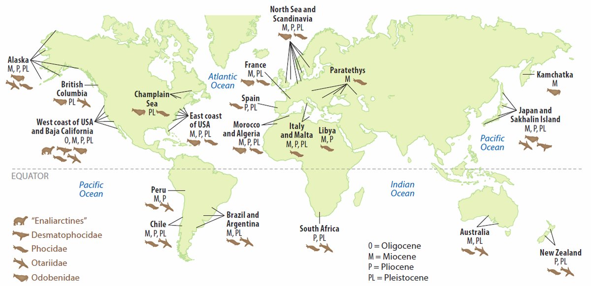 Species New to Science: [PaleoMammalogy • 2018] The Origin and ...