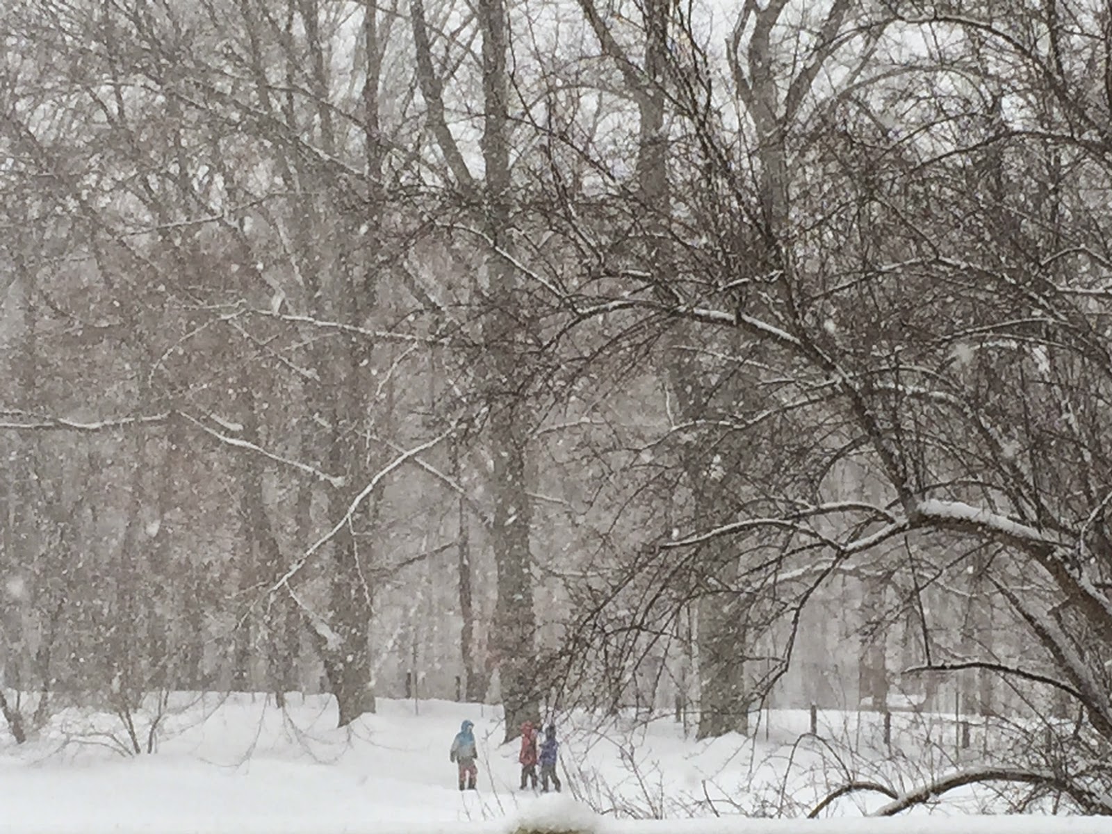 The Full Plate Blog: snow day baking: banana chocolate oat muffins with ...