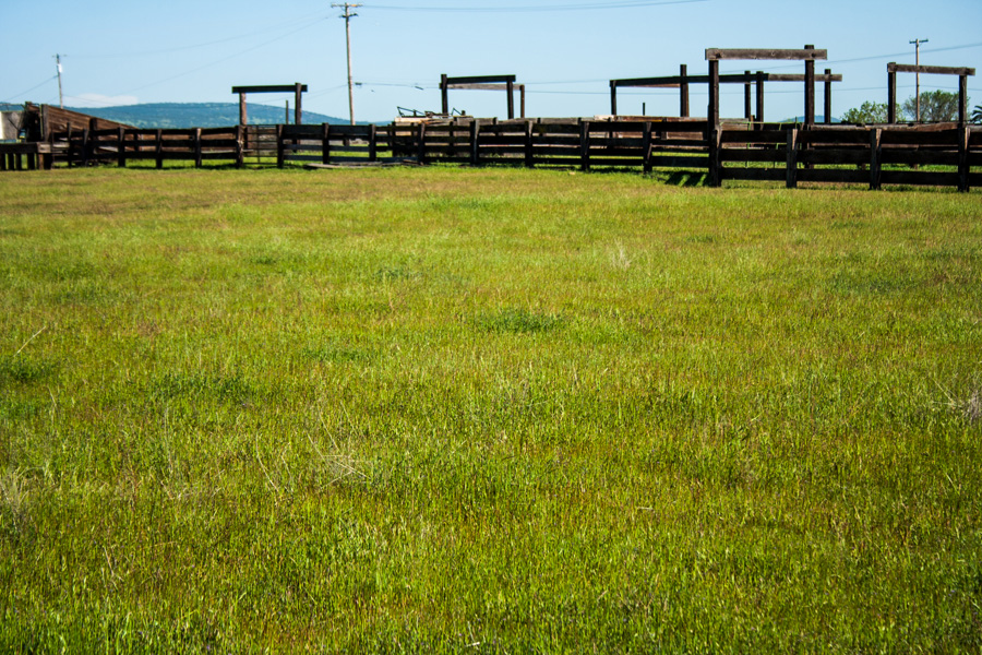 Milton Ranch: Cattle Corrals