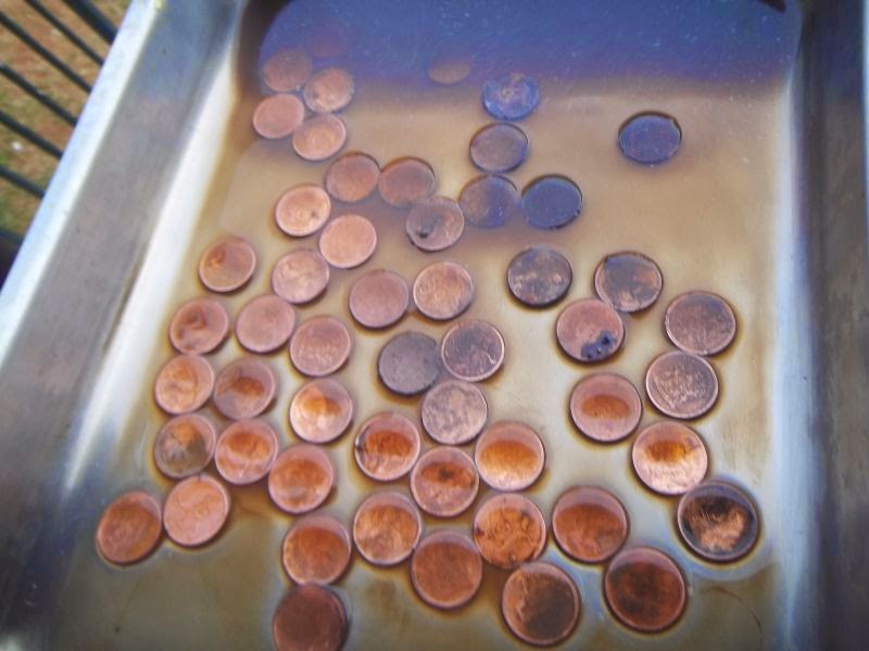 Eco Footprint ~ South Africa: Kitchen splashback