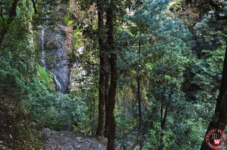 A fresh look at Shimla’s popular Chadwick Falls . ~ Himachal Tourism