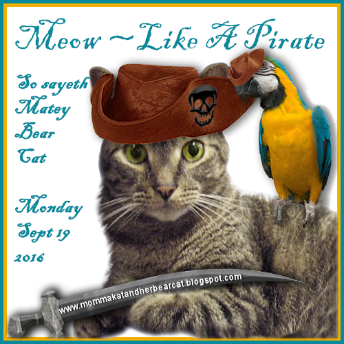 Mickey's Musings...Now, with Julie: Meow Like a Pirate Day!