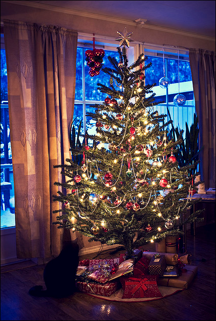 toekana: THE BEST CHRISTMAS TREES - ΤΑ ΩΡΑΙΟΤΕΡΑ ΧΡΙΣΤΟΥΓΕΝΝΙΑΤΙΚΑ ΔΕΝΤΡΑ