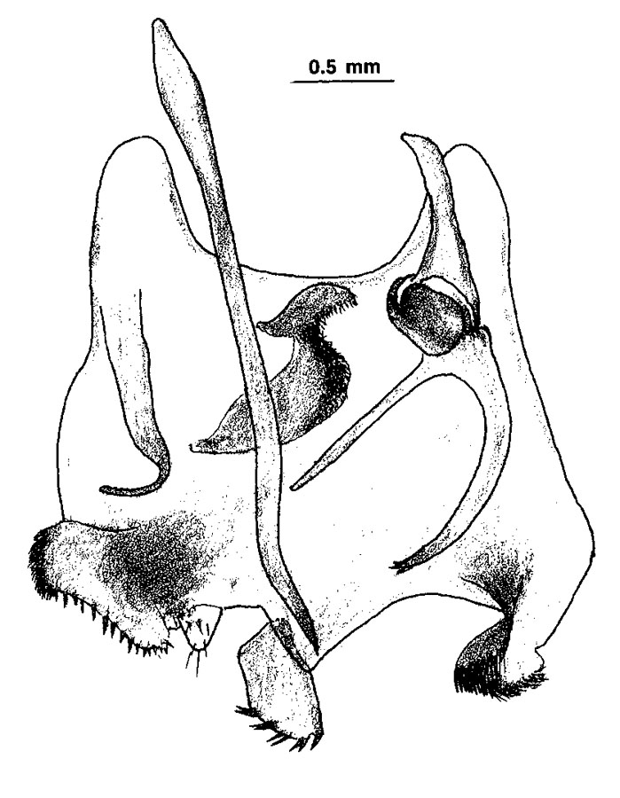 BunyipCo: September 2012