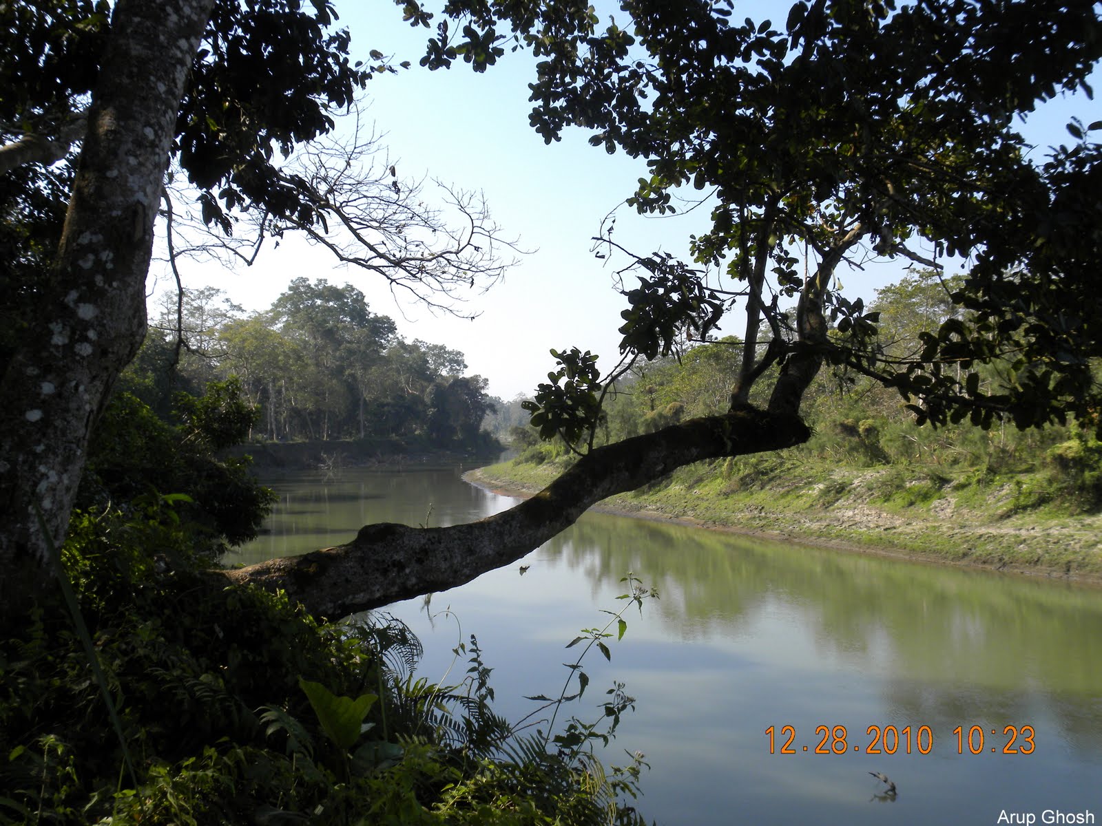 DHANSIRI RIVER IN THE DEEP FOREST