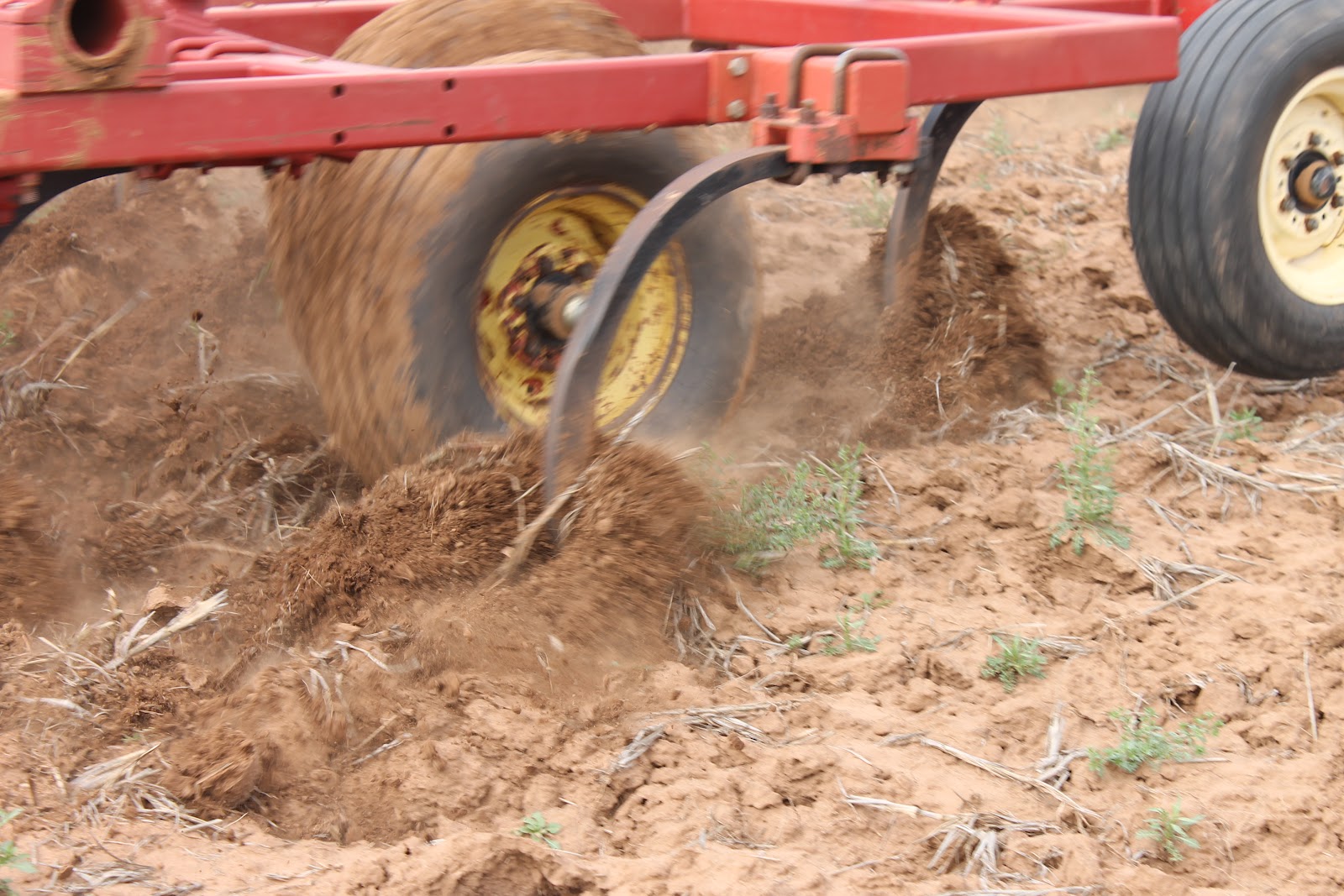 Country Sunshine Life: PLOWING!