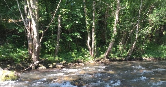 Conociendo León: Río Selmo