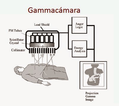 Instrumentación biomédica II (2015): C19 (6M) La gammacámara