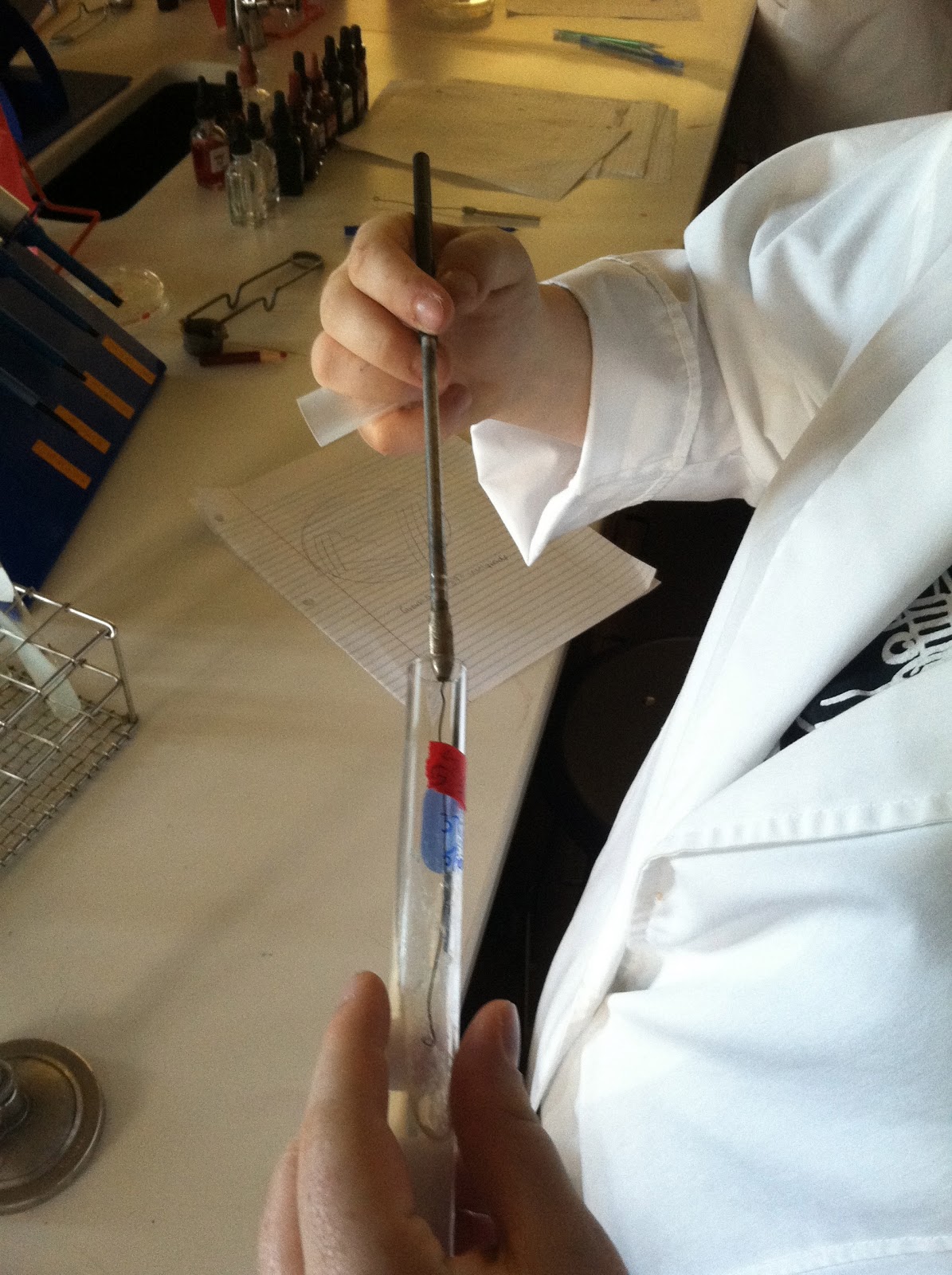 Medical Micro Biology