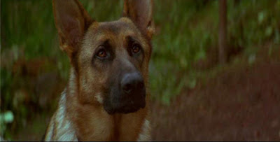 LUA NEGRA DUBLADO (1996) - Bau Trash