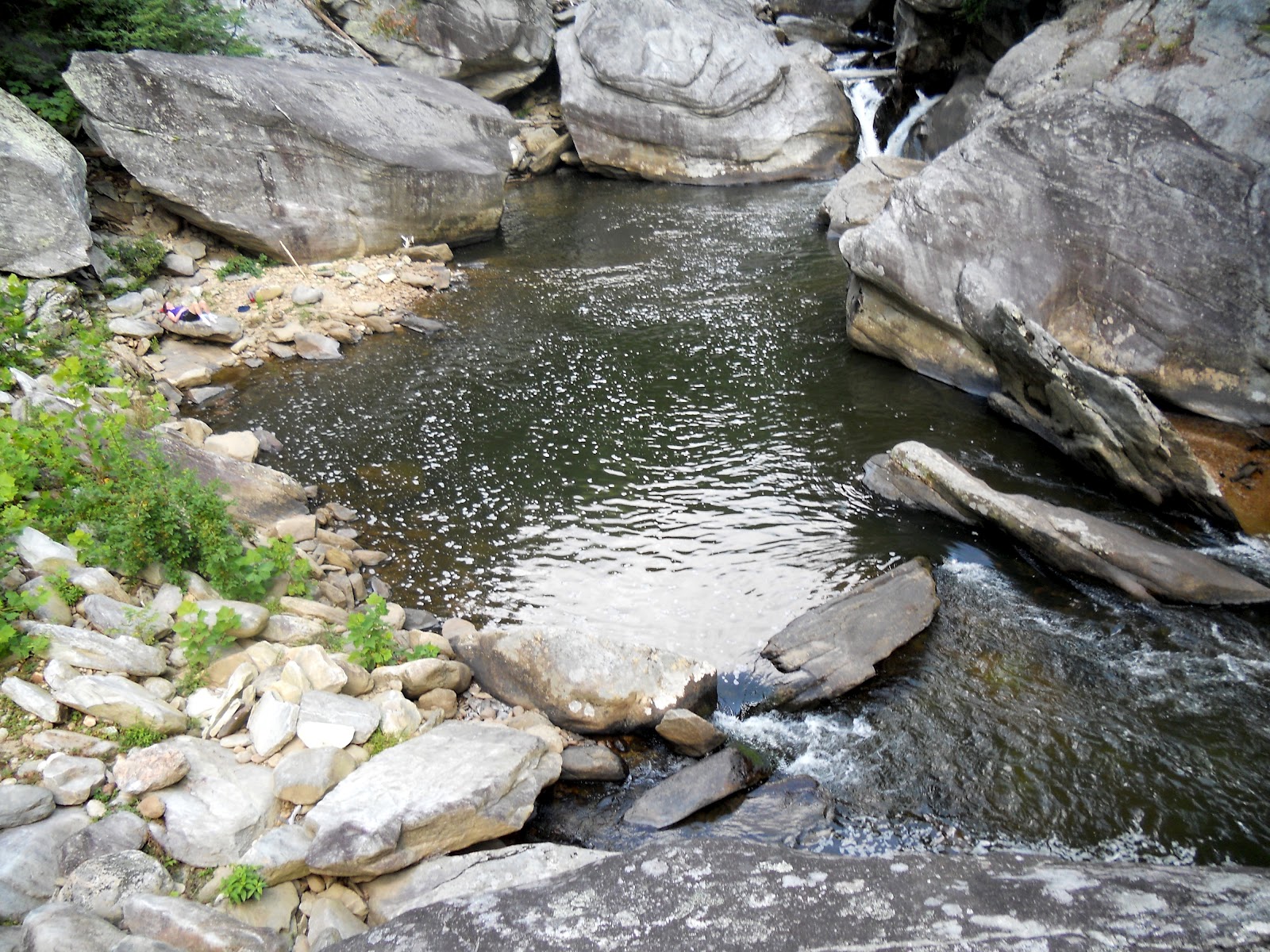 Hiking with a Fat Bald White Guy: Linville Gorge - Spence Ridge ...
