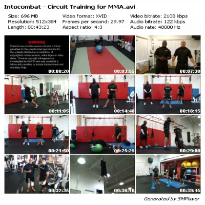 What's Mma Circuit Schooling | Stephanie Bruce Blog