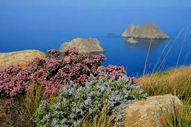 Tunisia-Tunisie-تونس: Eco-tourism in Bizerta, Bizerte, Benzart