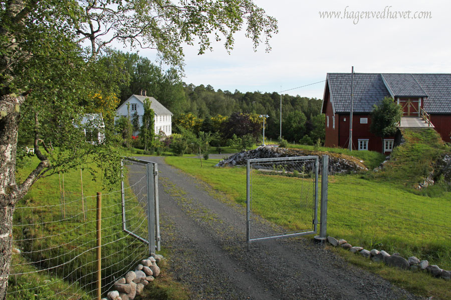 Hagen ved havet: Gjerde av netting mot hjort og rådyr