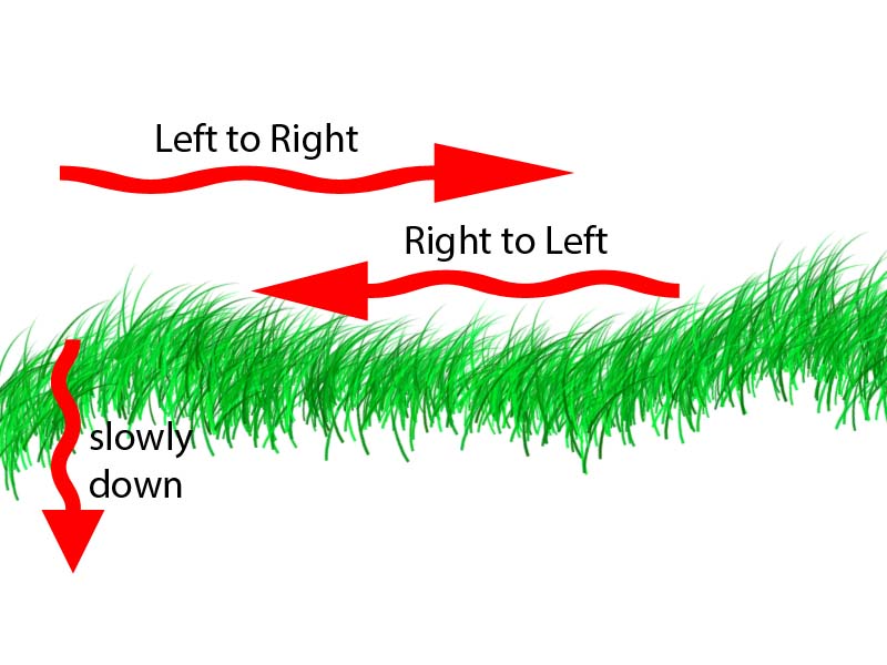 Learn Psd | Graphic Design Classes and Education: Draw natural grass ...