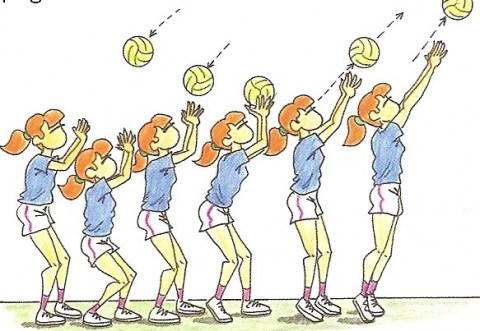 Fundamentos técnicos - Voleibol - Prof.Gregory
