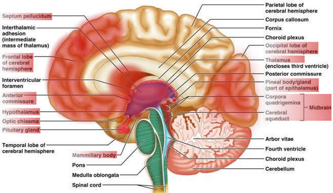 Jules Musings: 4 years!!!!