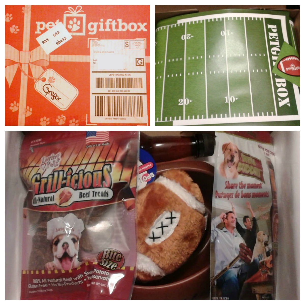Reviews, Chews & How-Tos: Review: Pet GiftBox January Subscription Box