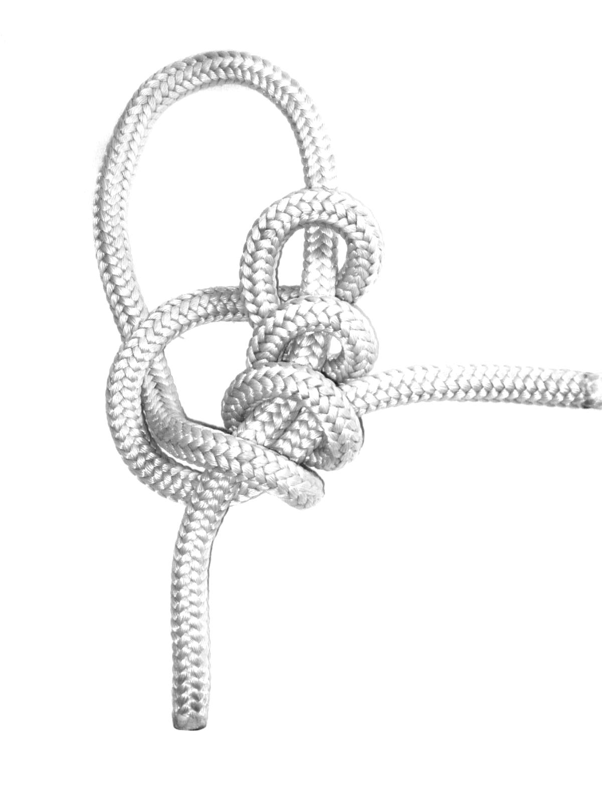 New Approaches with Knot Tying: How to Electronically Draw a Knot