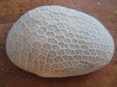 recette douara osbane algérienne - Cuisine Arabe
