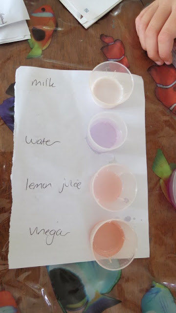 Be Our Best: Purple Cabbage pH Science Experiment