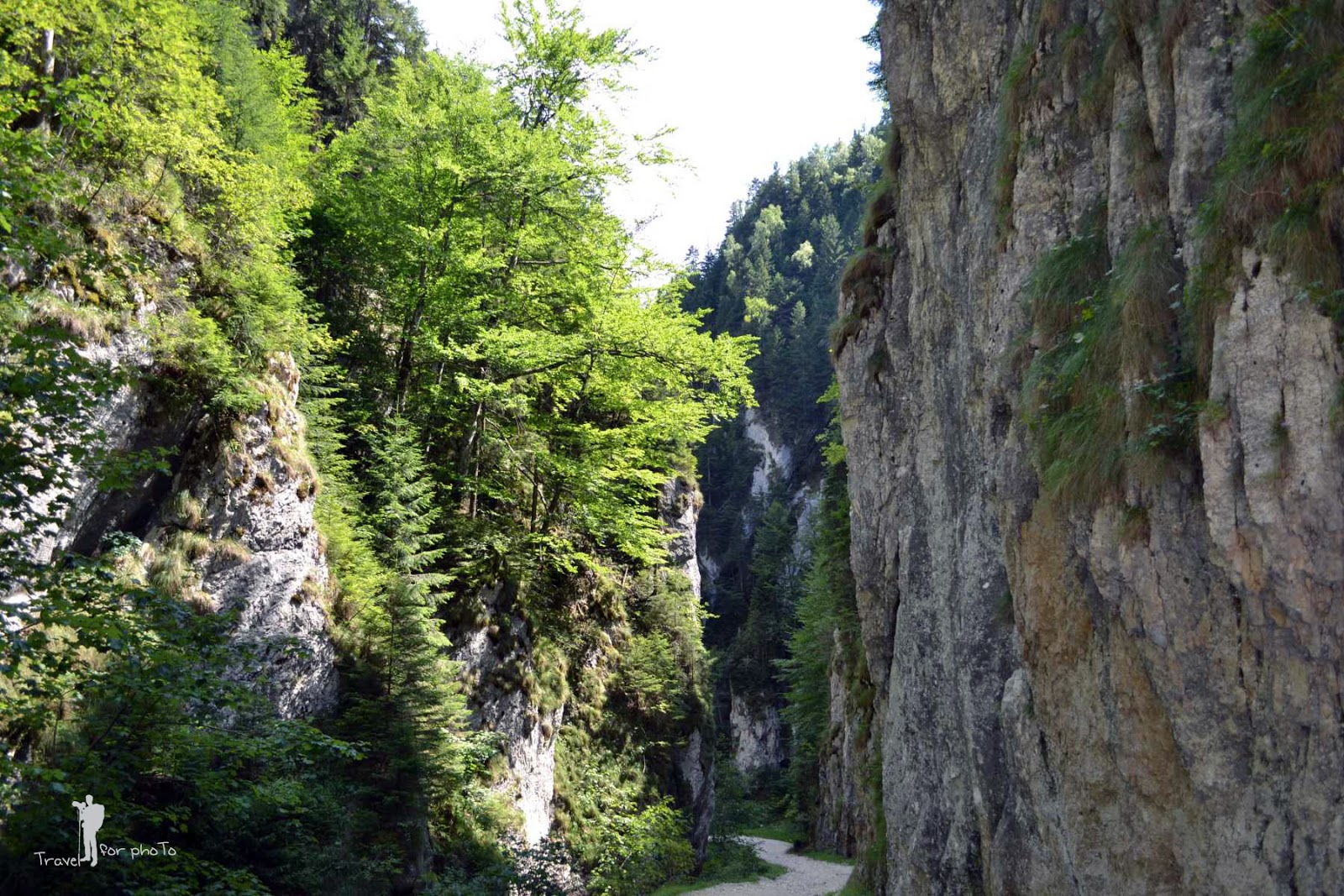 Prin Prapastiile Zarnestilor