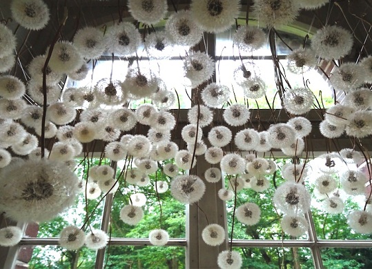 LET'S STAY: Amazing Dandelion Art Installation
