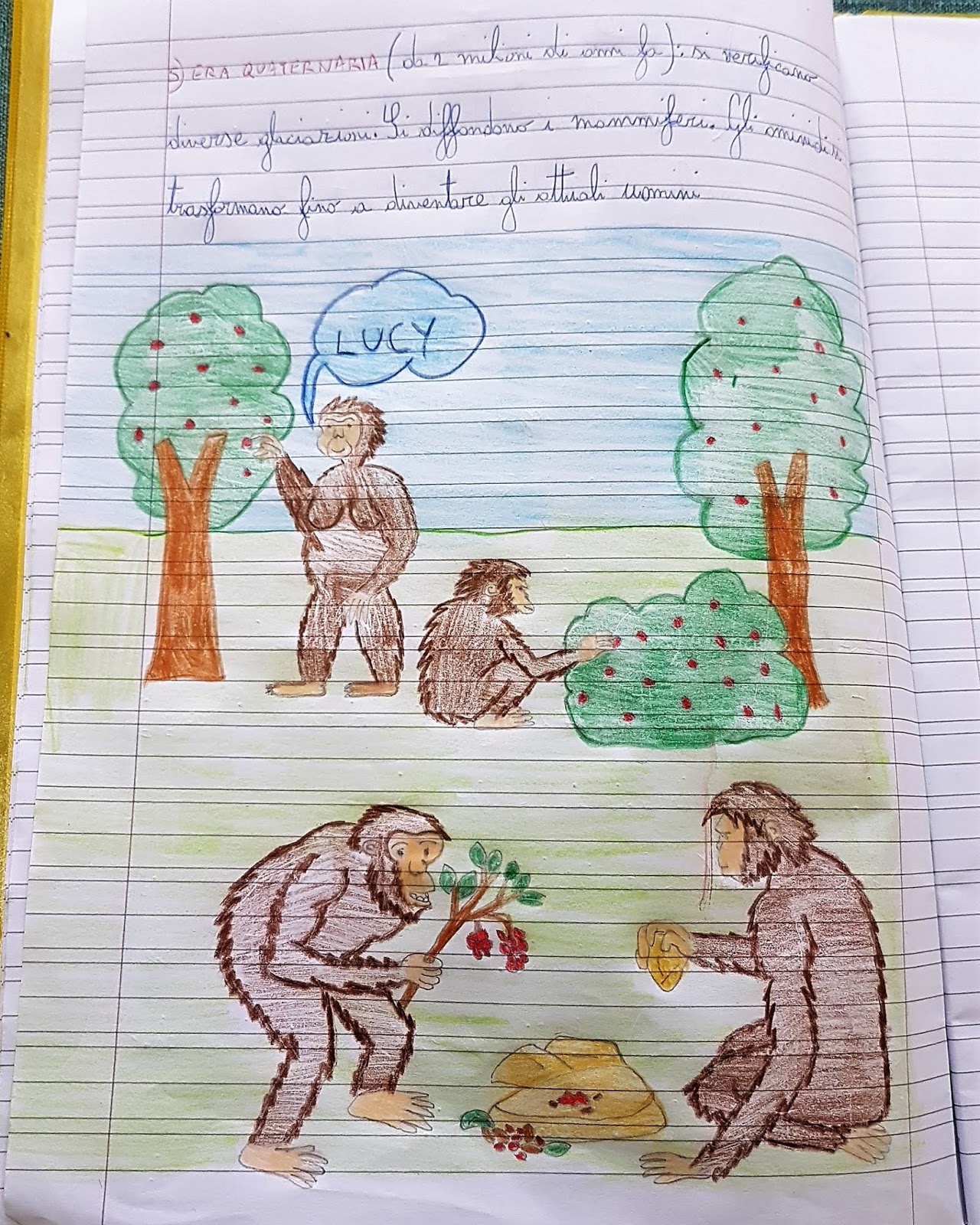 L'occhio del lupo.: I nostri lapbook: Lucy, la prima donna.