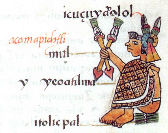 NEPOHUALTZINTZIN: Cómputo Azteca: ACAMAPICHTLI
