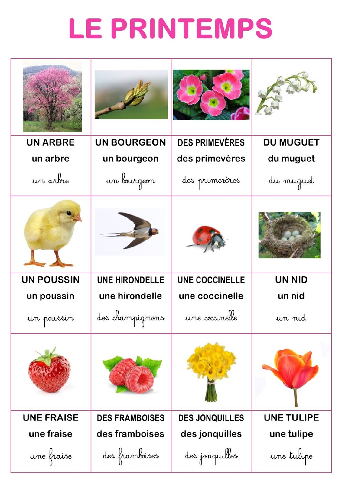 Le français est chouette!: C'est le printemps!