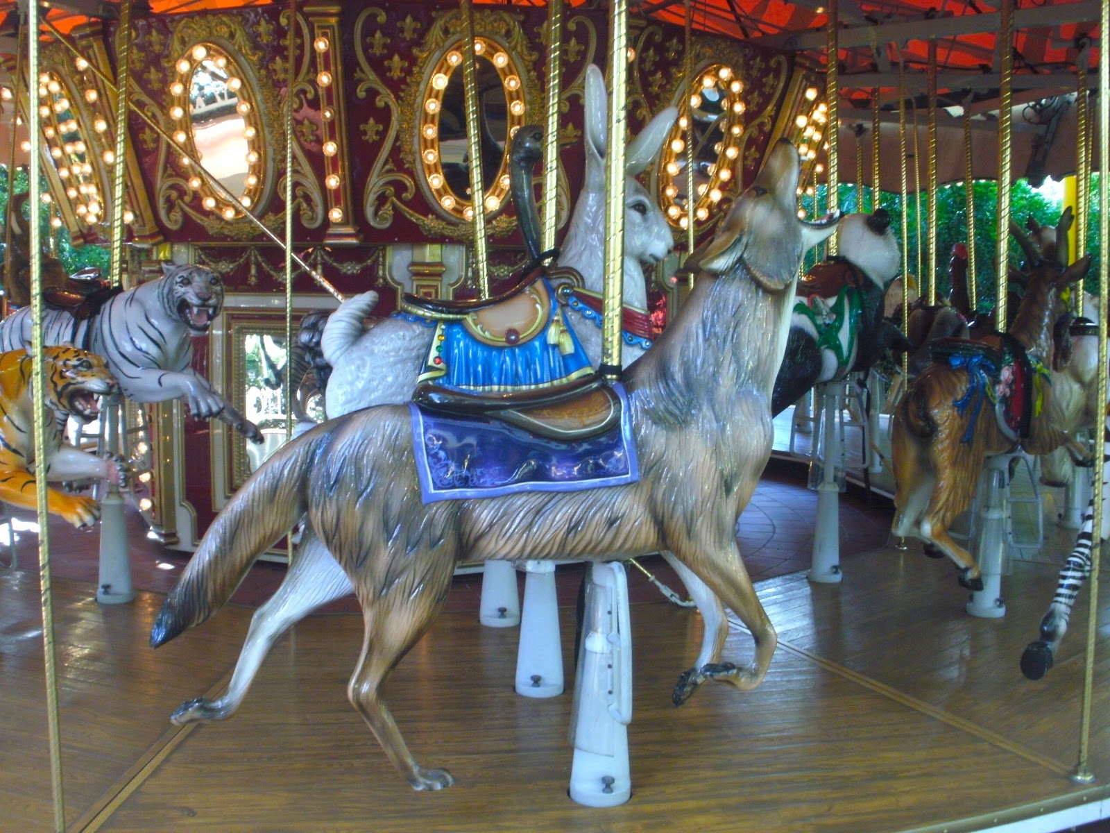 No direction home ... a complete unknown ... like a rolling luggager ...