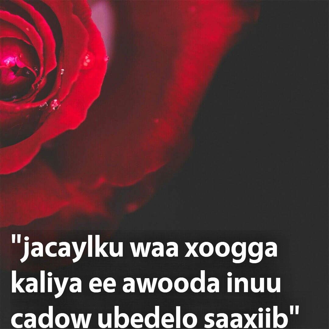 Oraaho lagu cabbiray jacaylka iyo amuurihiisa - Weedhside