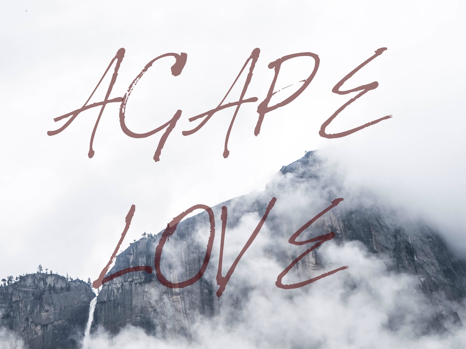 This Unscripted Life