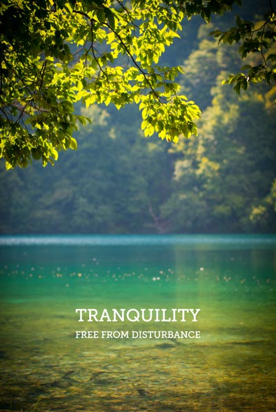 Not Buying Anything: Tranquillity Mapping