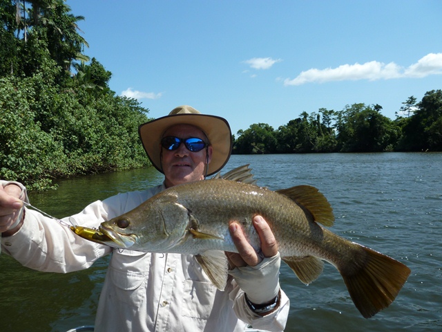 Fishing Cairns: Barra - Closes Season Blues!