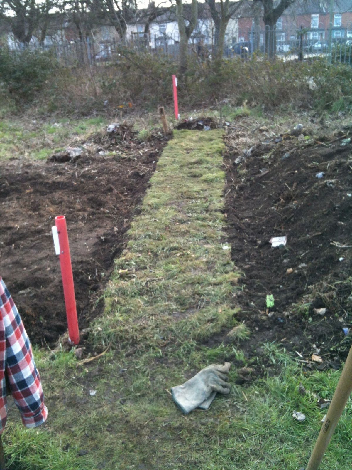 An overgrown allotment versus a bad back: Now for the rough area at the ...