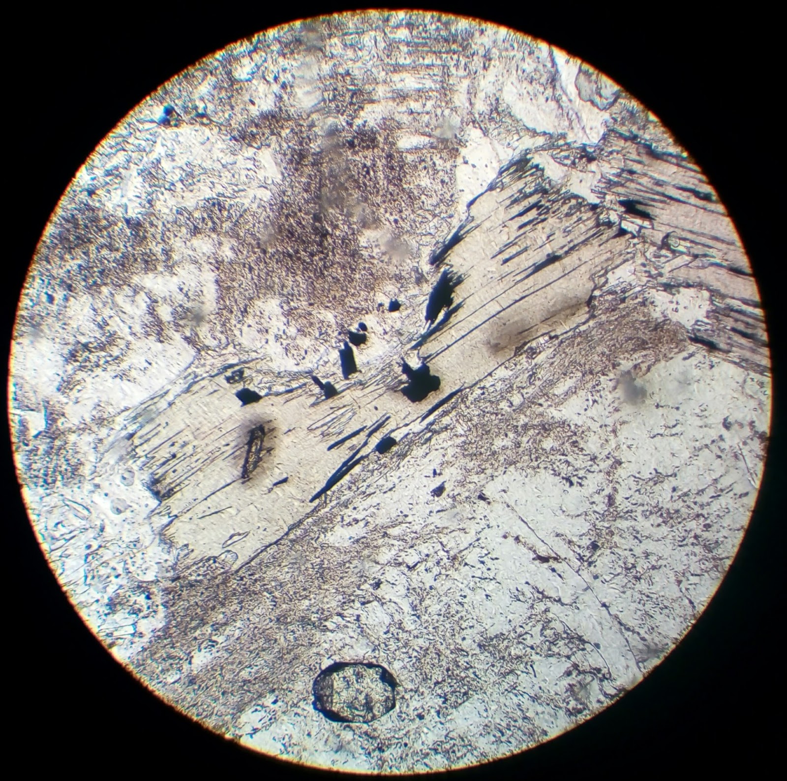 Learning Geology: 30+ Thin Section Photos That Will Develop Your ...
