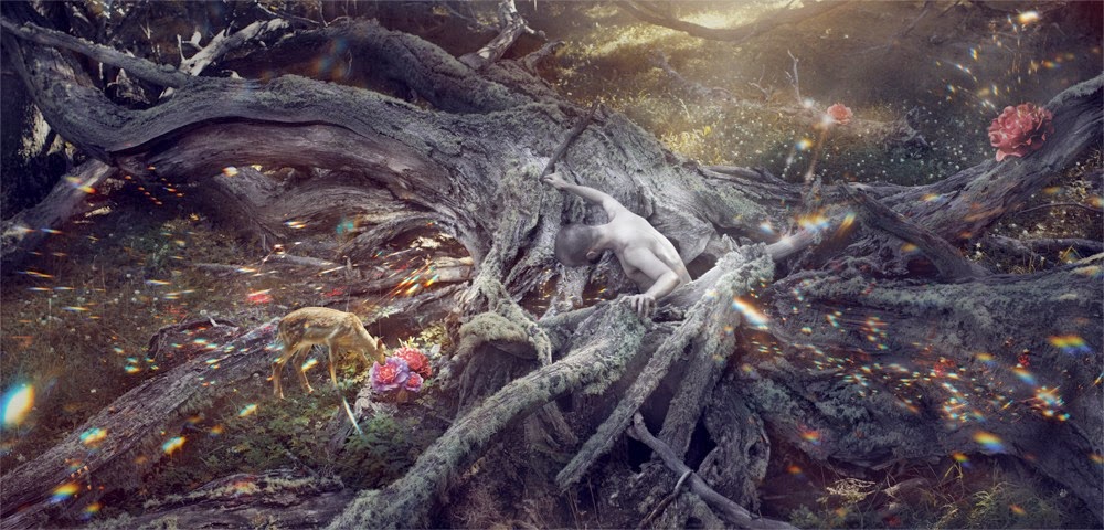 LAVRAPALAVRA : Jon Jacobsen - Uma fotografia conceitual feita de ...