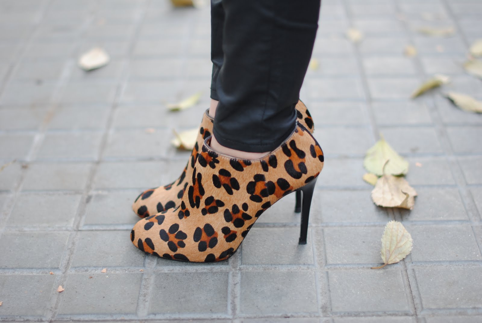 Leopard Boots