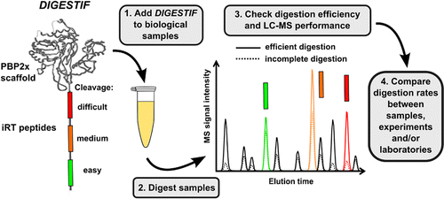 News in Proteomics Research: DigestIF - A QC standard for tryptic ...
