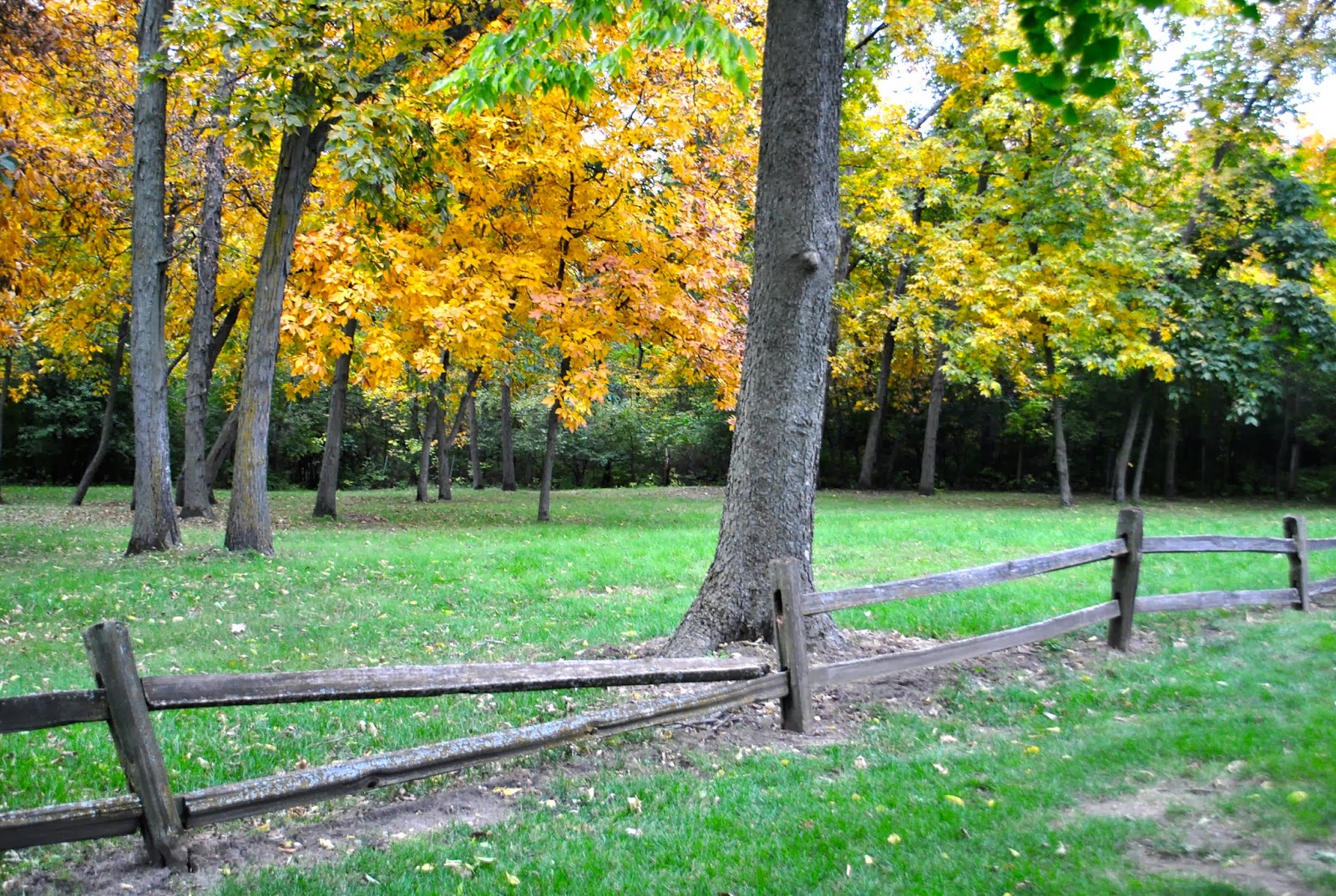 Memories of a Modern Mommy: Winterset City Park