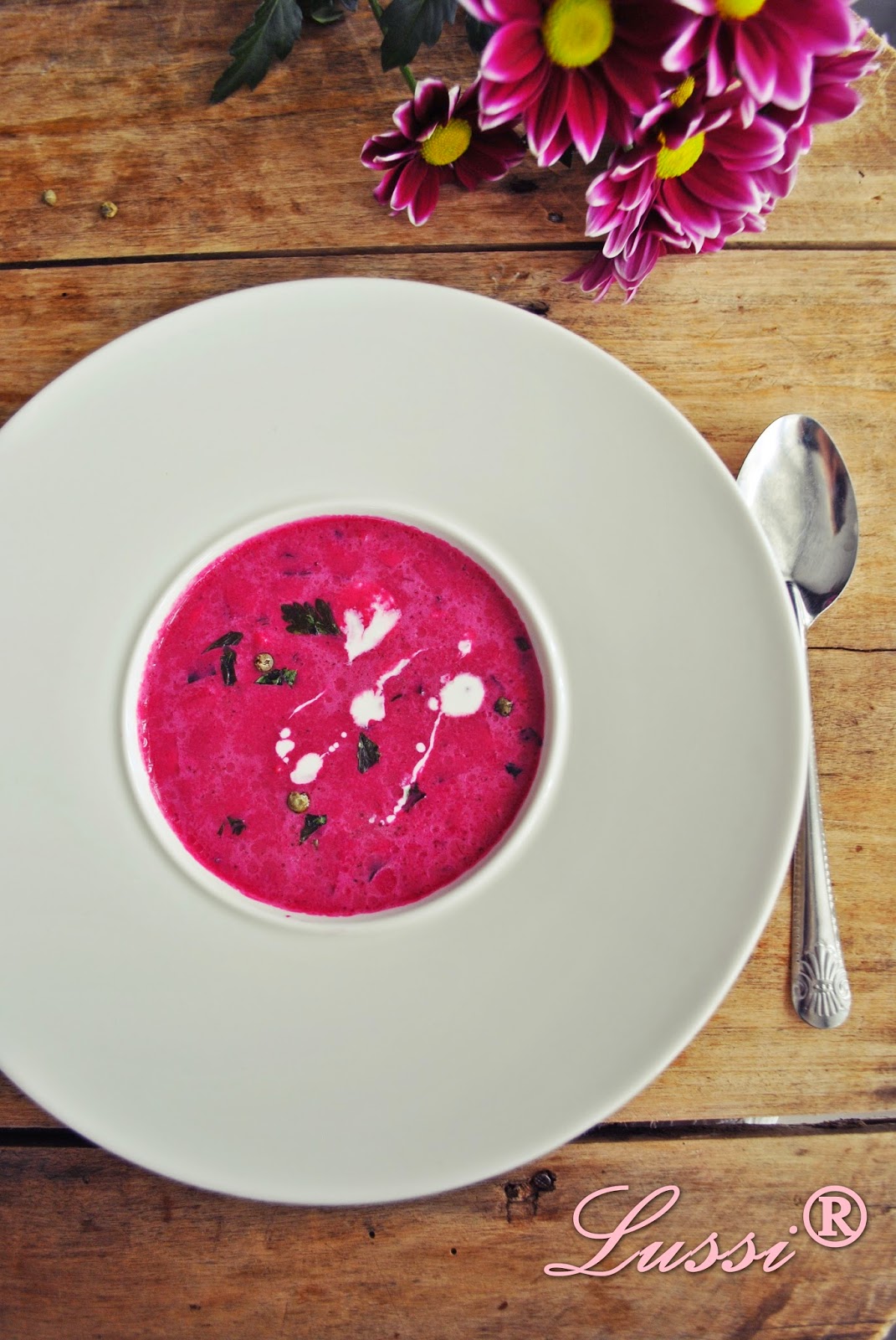 Lussi`s World of Artcraft: Студена розова супа по руски / Cold Russian ...