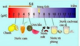 Mưa axit | Môi trường