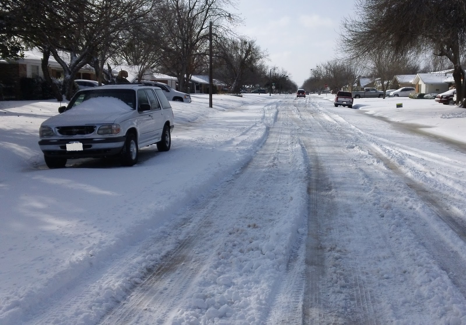 Half a Dozen Vosses: Snowpocalypse