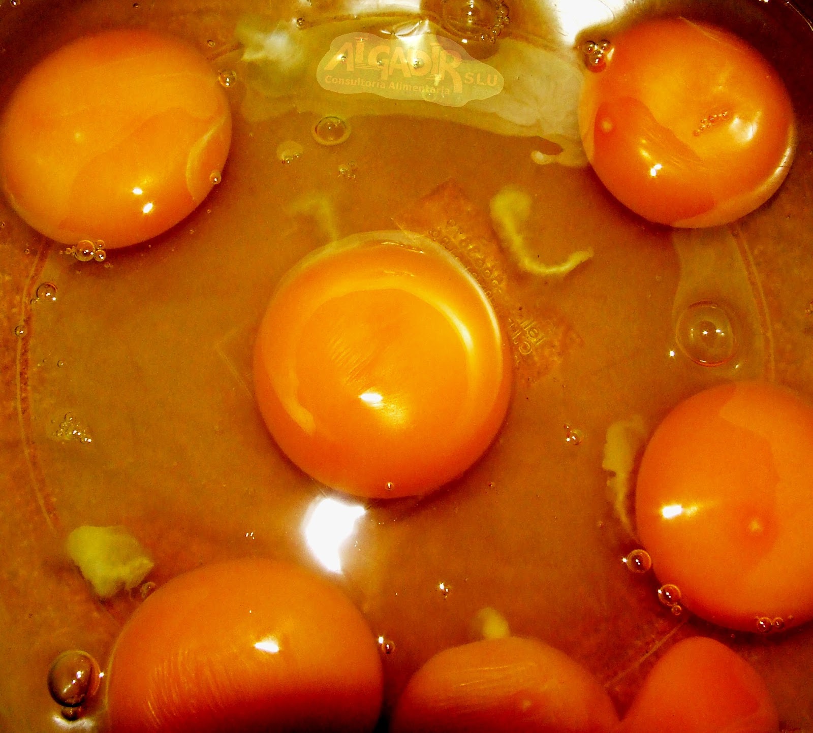 El blog de Algadir Consultoría Alimentaria: ¿Es tu cocina un foco de ...