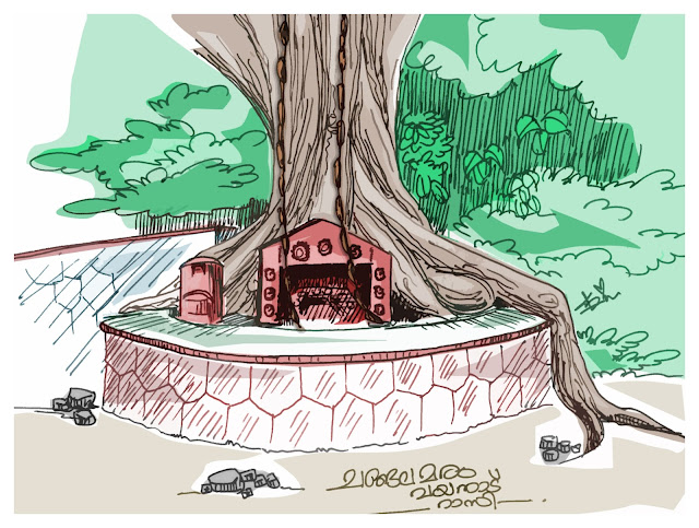 Roadside Razi: .. And that's the way...to Wayanad