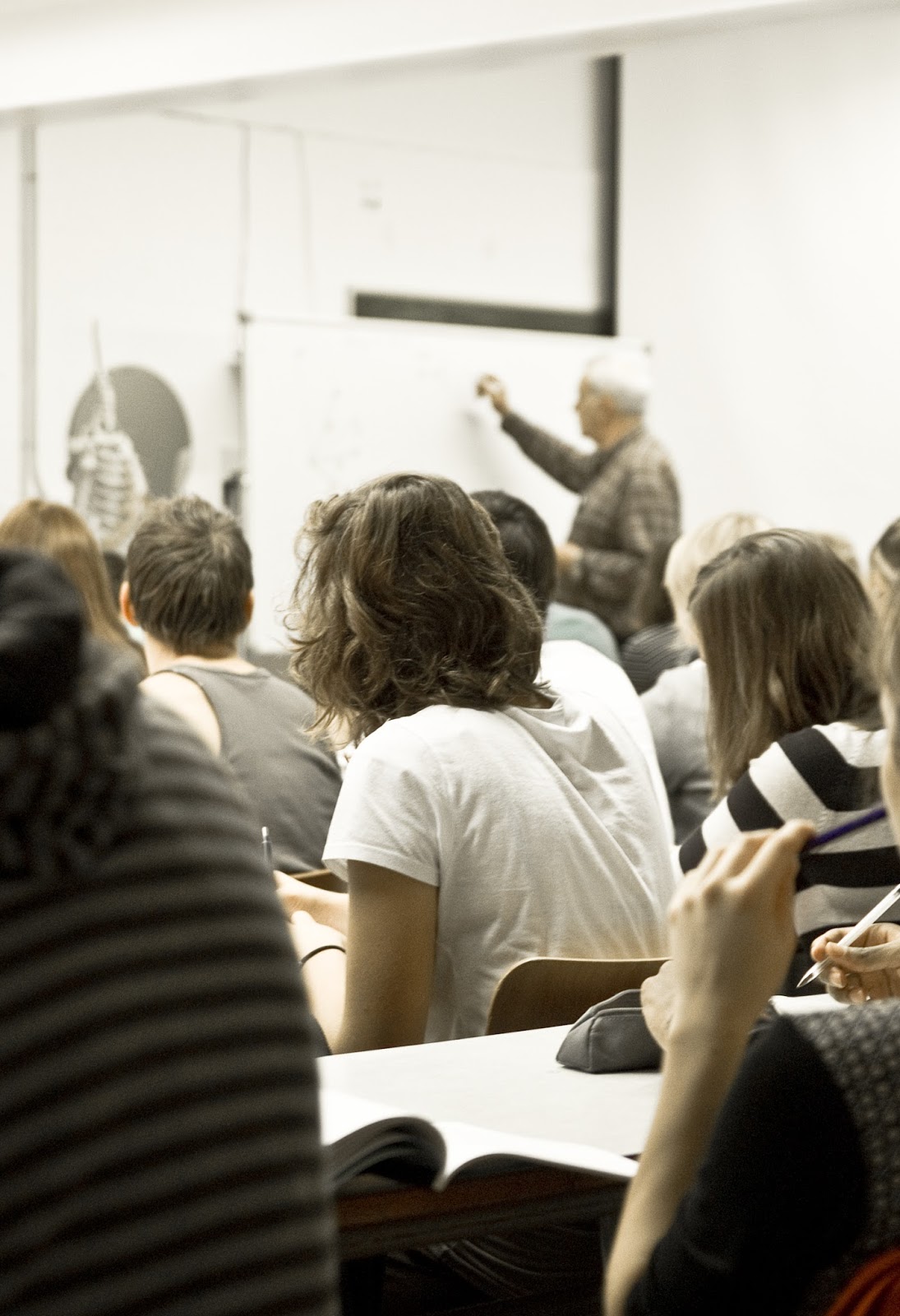 isib programme des cours