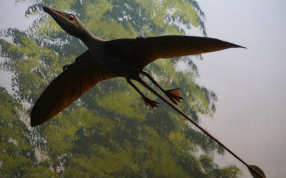 Phantoms and Monsters - Real Cryptid Encounter Reports - Fortean ...