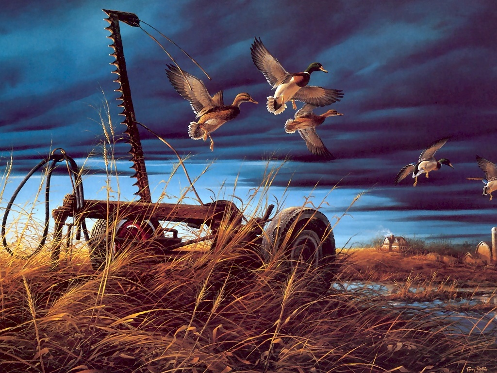 Terry Redlin Art ~ Photos Art