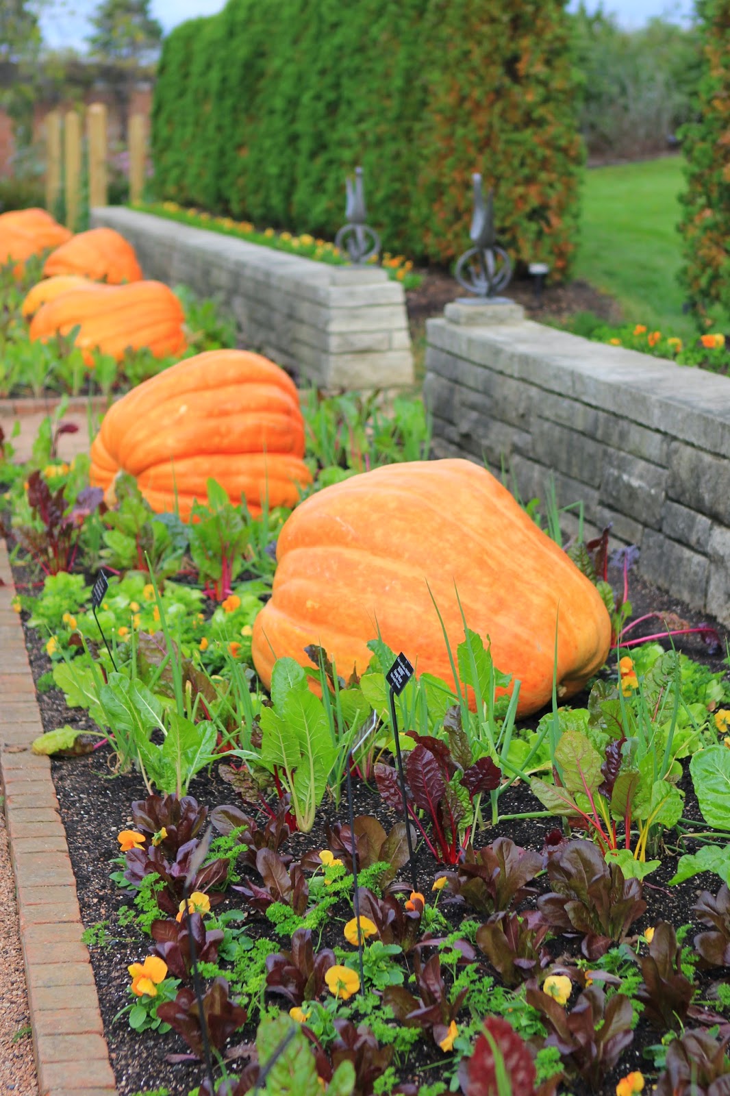 Romancing the Home: Fall Color at the Chicago Botanic Gardens